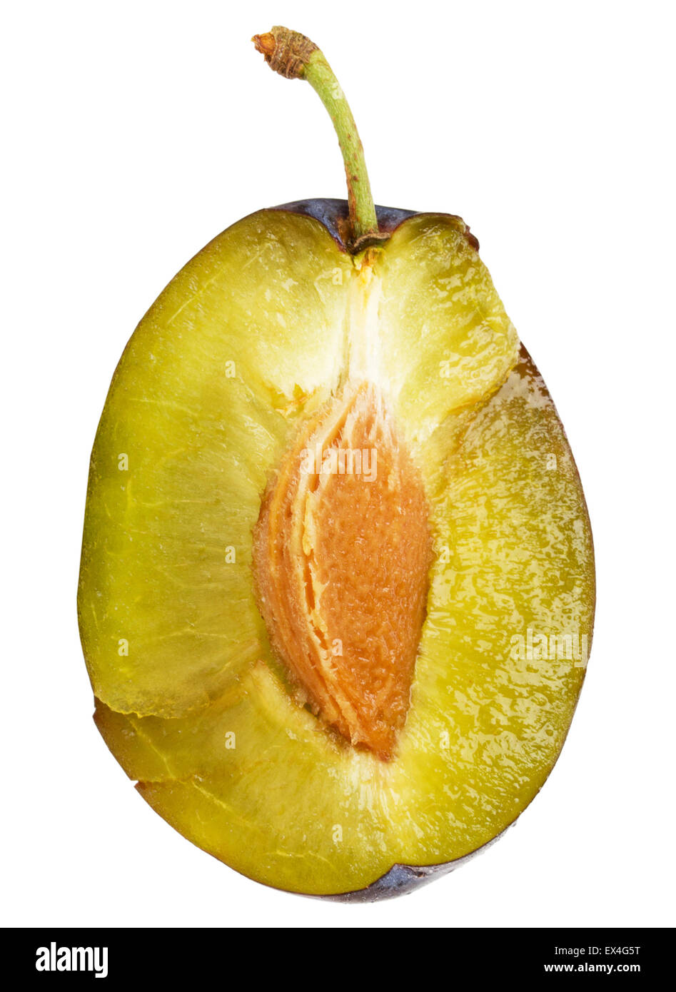 half of plum isolated on the white background Stock Photo - Alamy