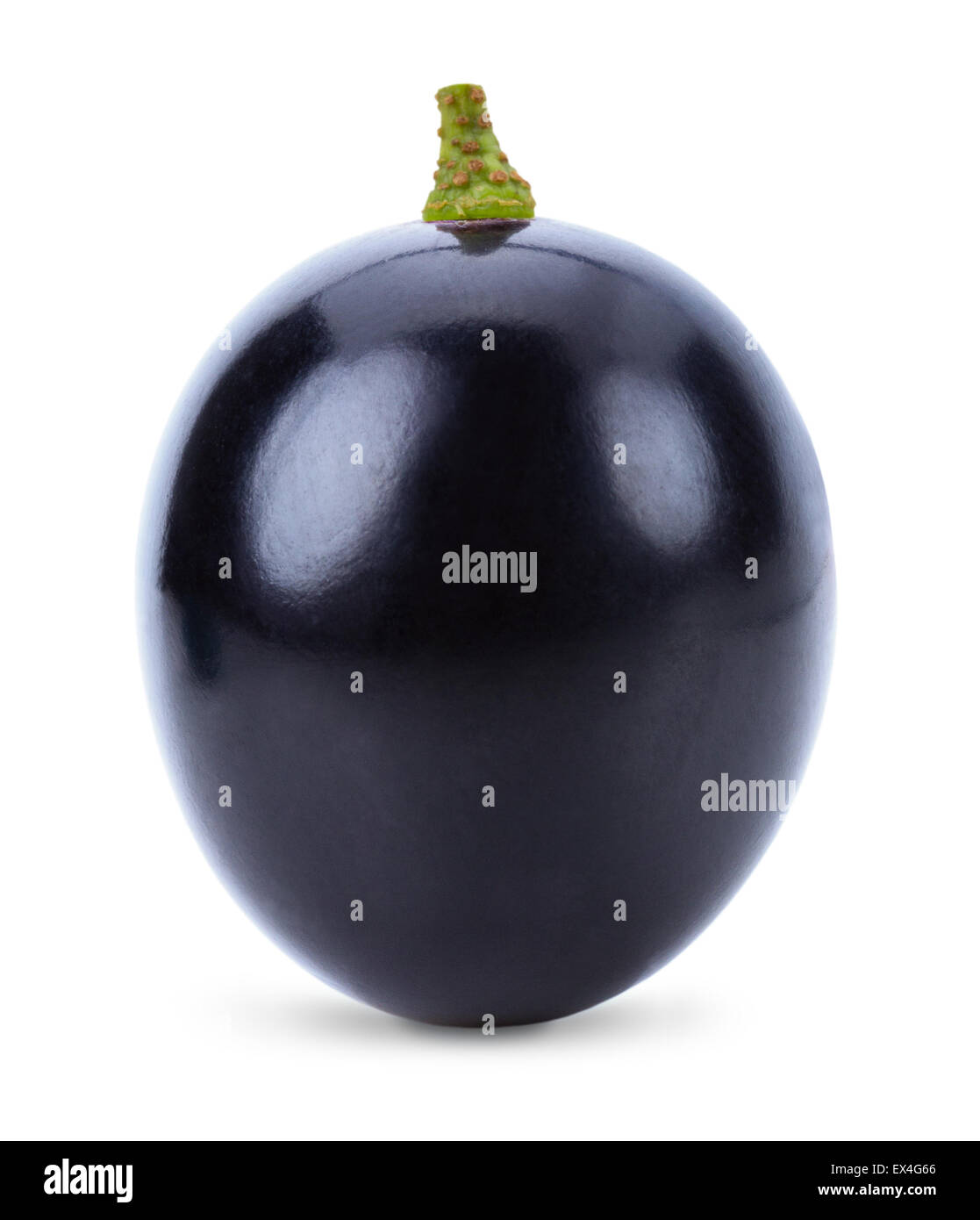 single grape isolated on the white background Stock Photo - Alamy