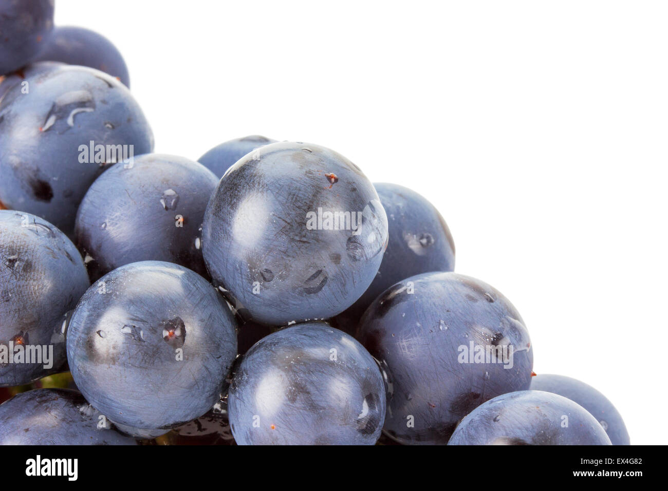 purple grape isolated on the white background Stock Photo - Alamy