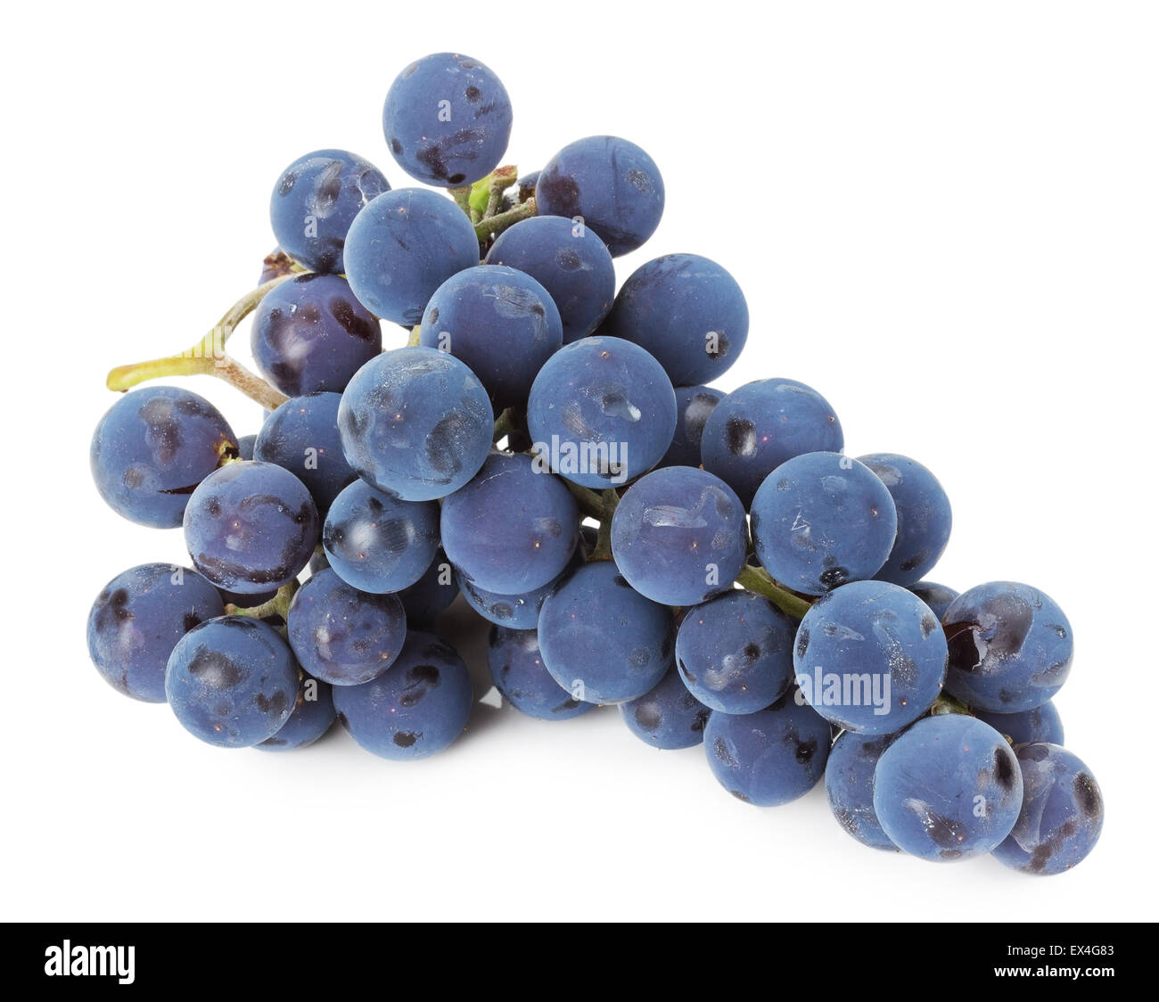Branch purple grape fruit Cut Out Stock Images & Pictures - Alamy