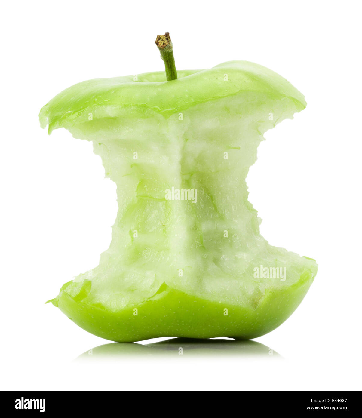 Stub stem hi-res stock photography and images - Alamy