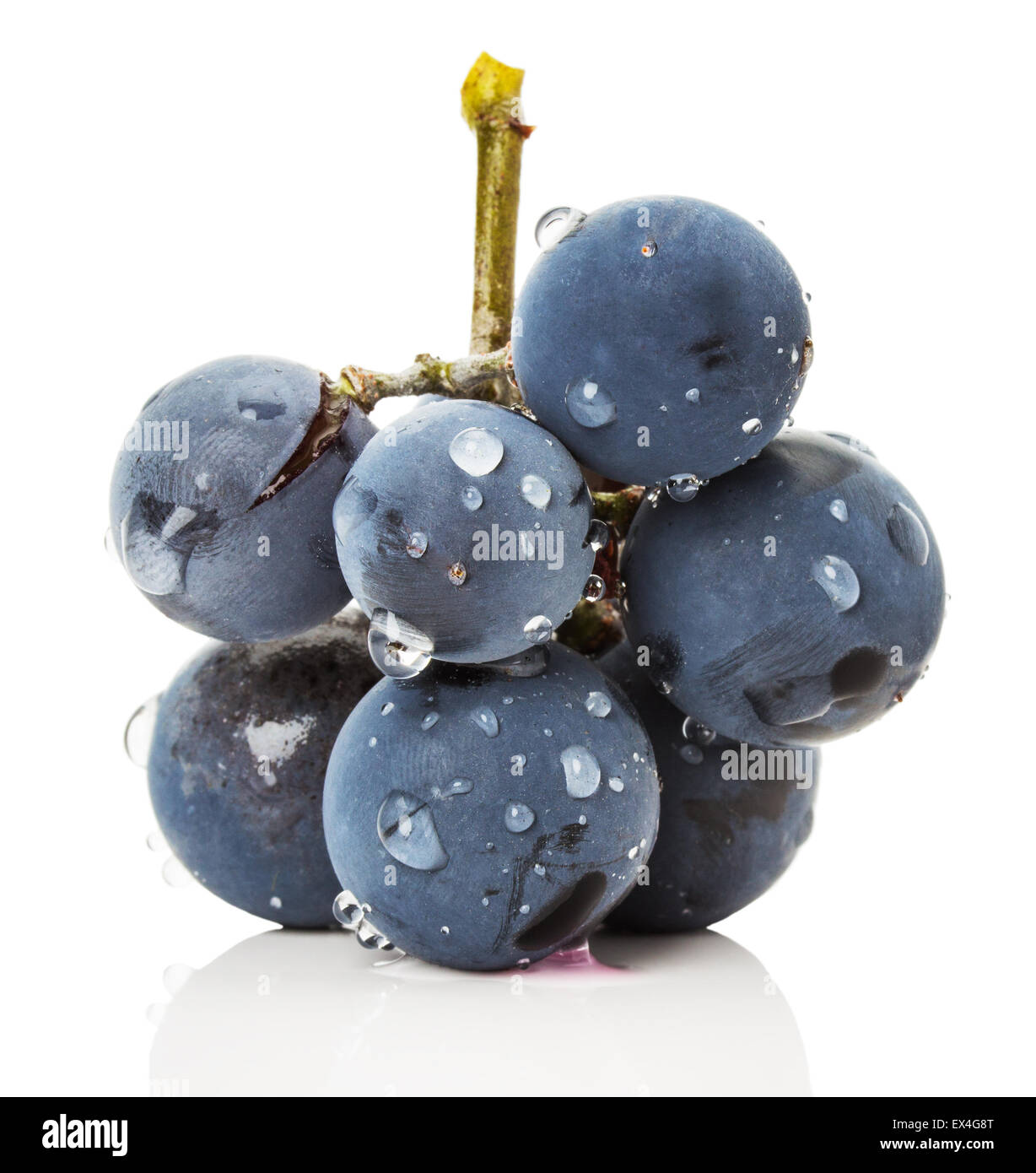 How to grow grapes hi-res stock photography and images - Alamy