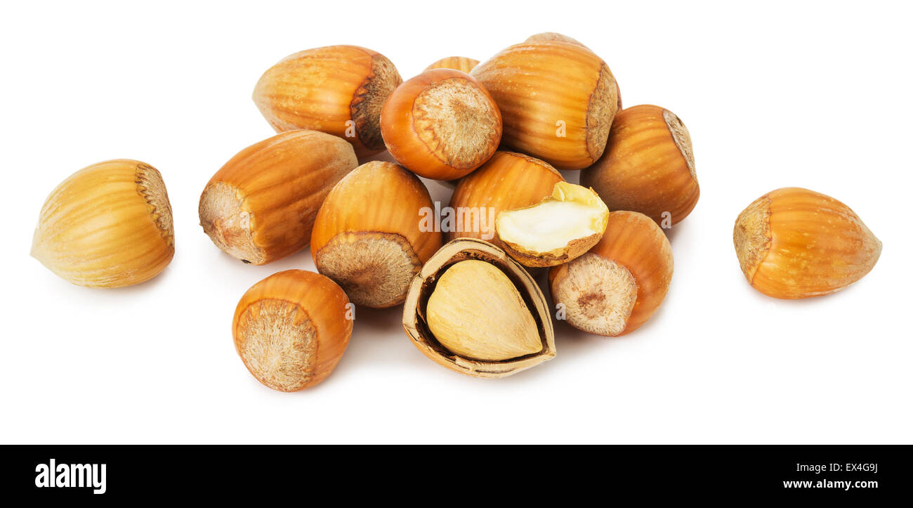 Hazelnut isolated on the white background Stock Photo - Alamy