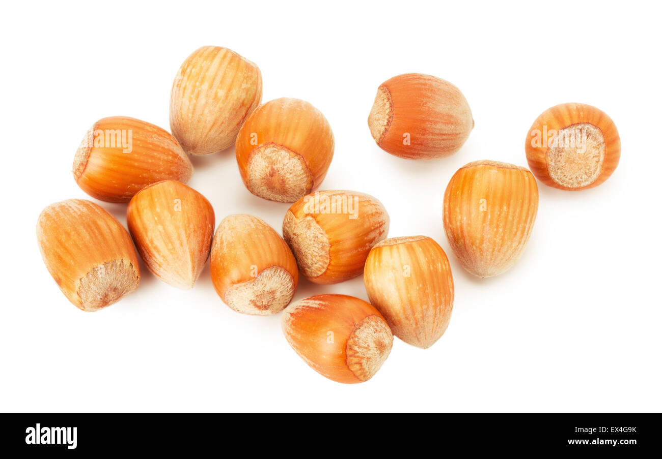 hazelnuts isolated on the white background Stock Photo - Alamy
