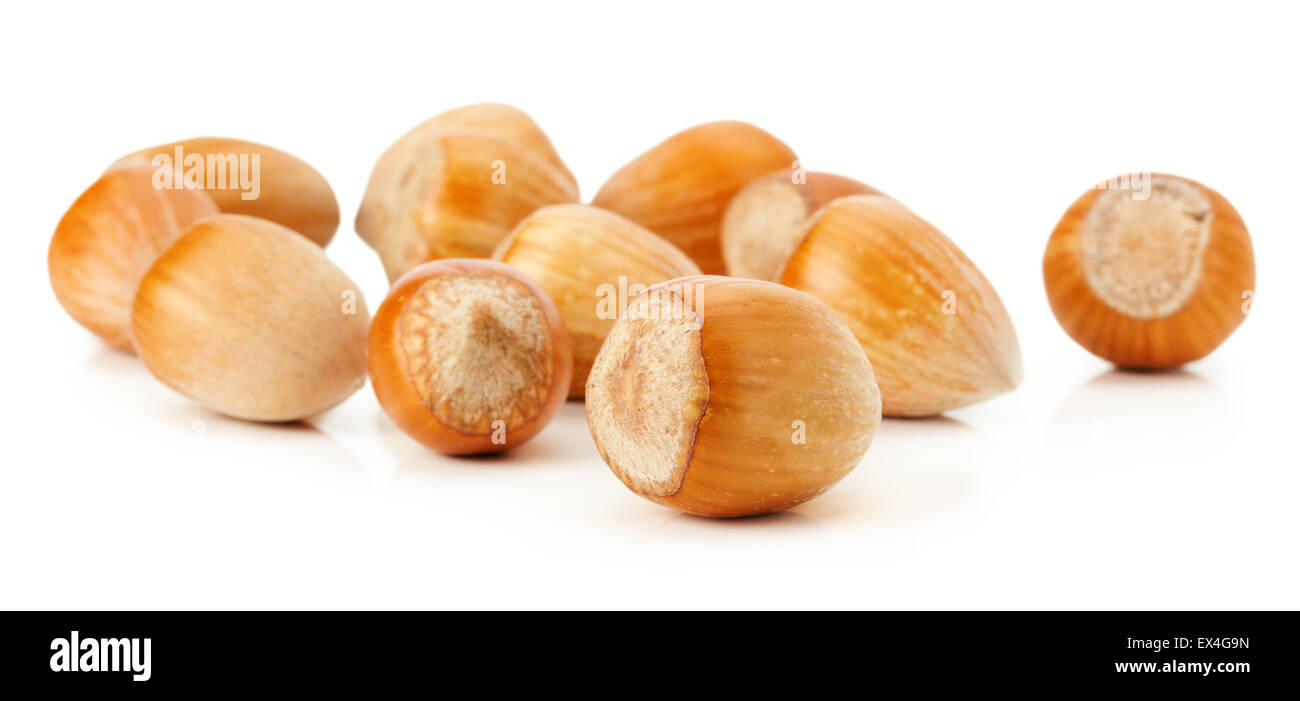 Hazelnuts studio hi-res stock photography and images - Alamy