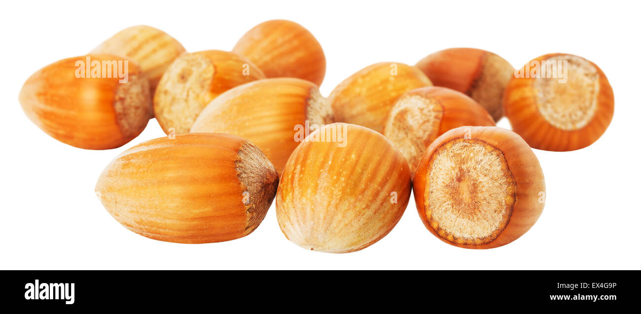 Hazelnuts isolated on the white background Stock Photo - Alamy