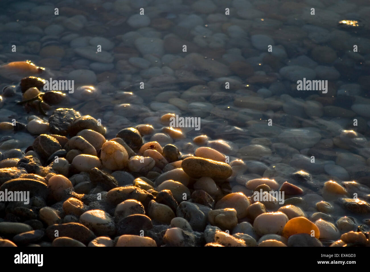 Water-worn pebbles basking in calm dawn waters in Peconic Bay near Sag ...