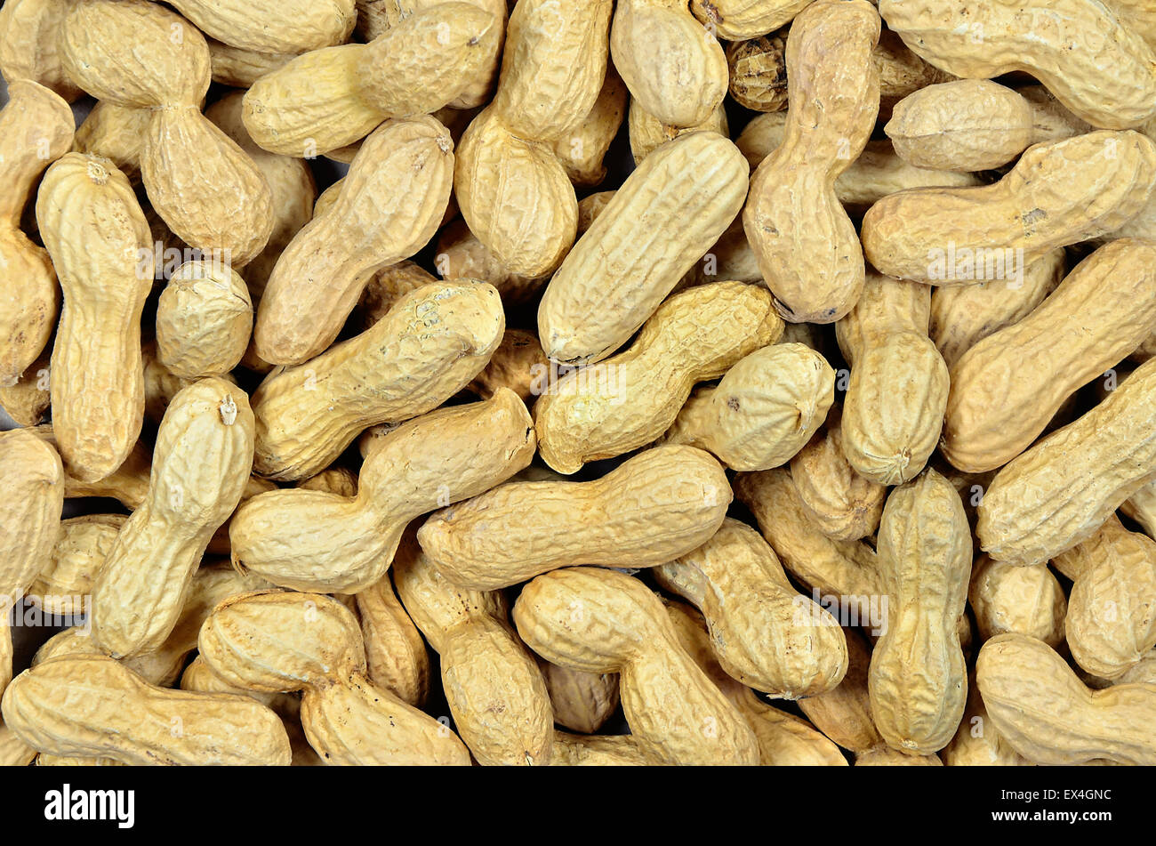 Empty peanuts hi-res stock photography and images - Alamy