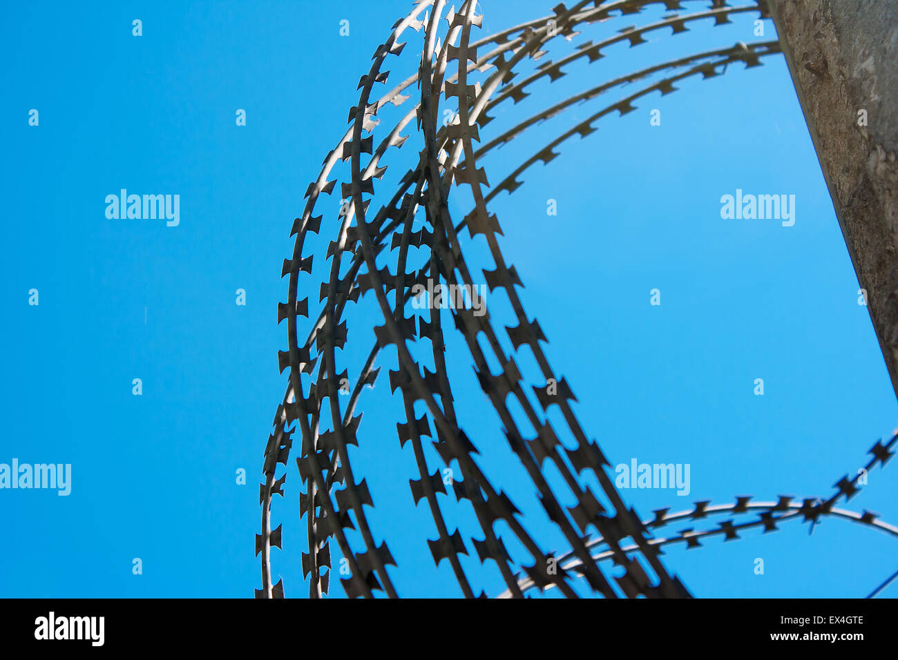 Barbed wire barb wire coil hi-res stock photography and images - Alamy