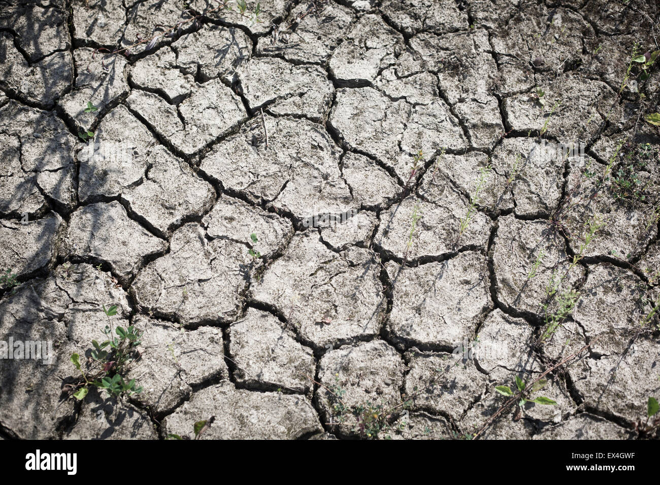 Pattern created from a photo cracked earth. Dry weather, drought Stock ...