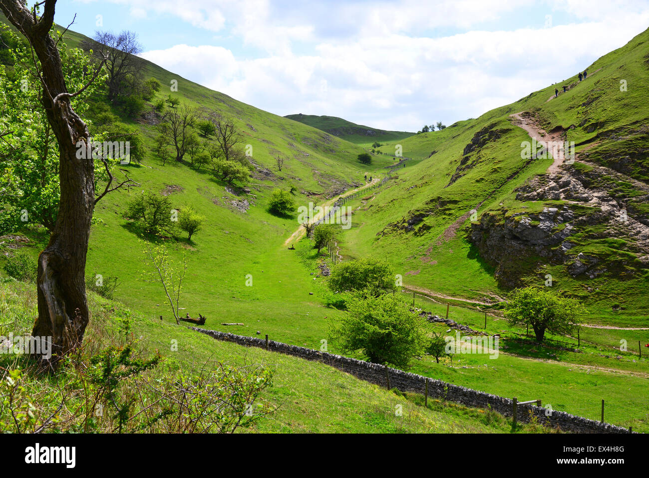 Dovedale, The Peak District, Derbyshire Stock Photo - Alamy