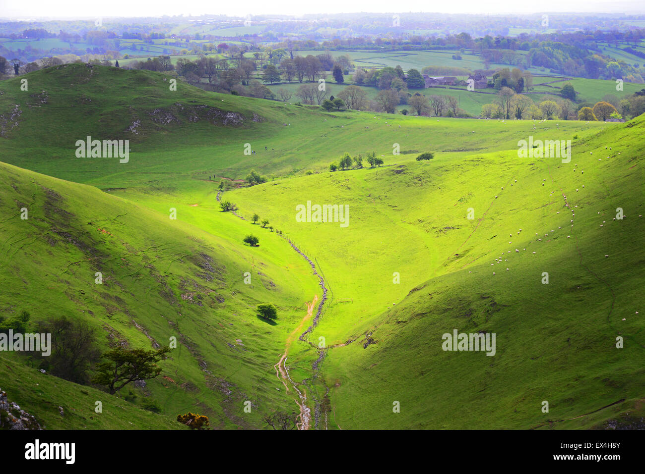 Dovedale, The Peak District, Derbyshire Stock Photo - Alamy
