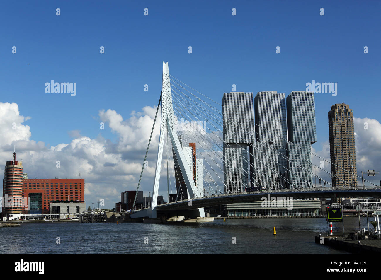The Erasmus Bridge in Rotterdam, the Netherlands. The bridge stands by ...