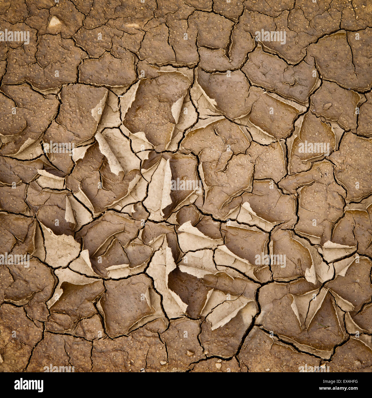 Photo compilation hi-res stock photography and images - Alamy