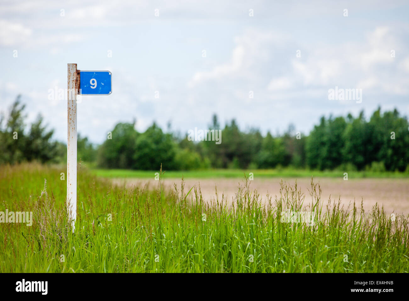 signpost in countryside landscape. image is retro filtered with faded ...
