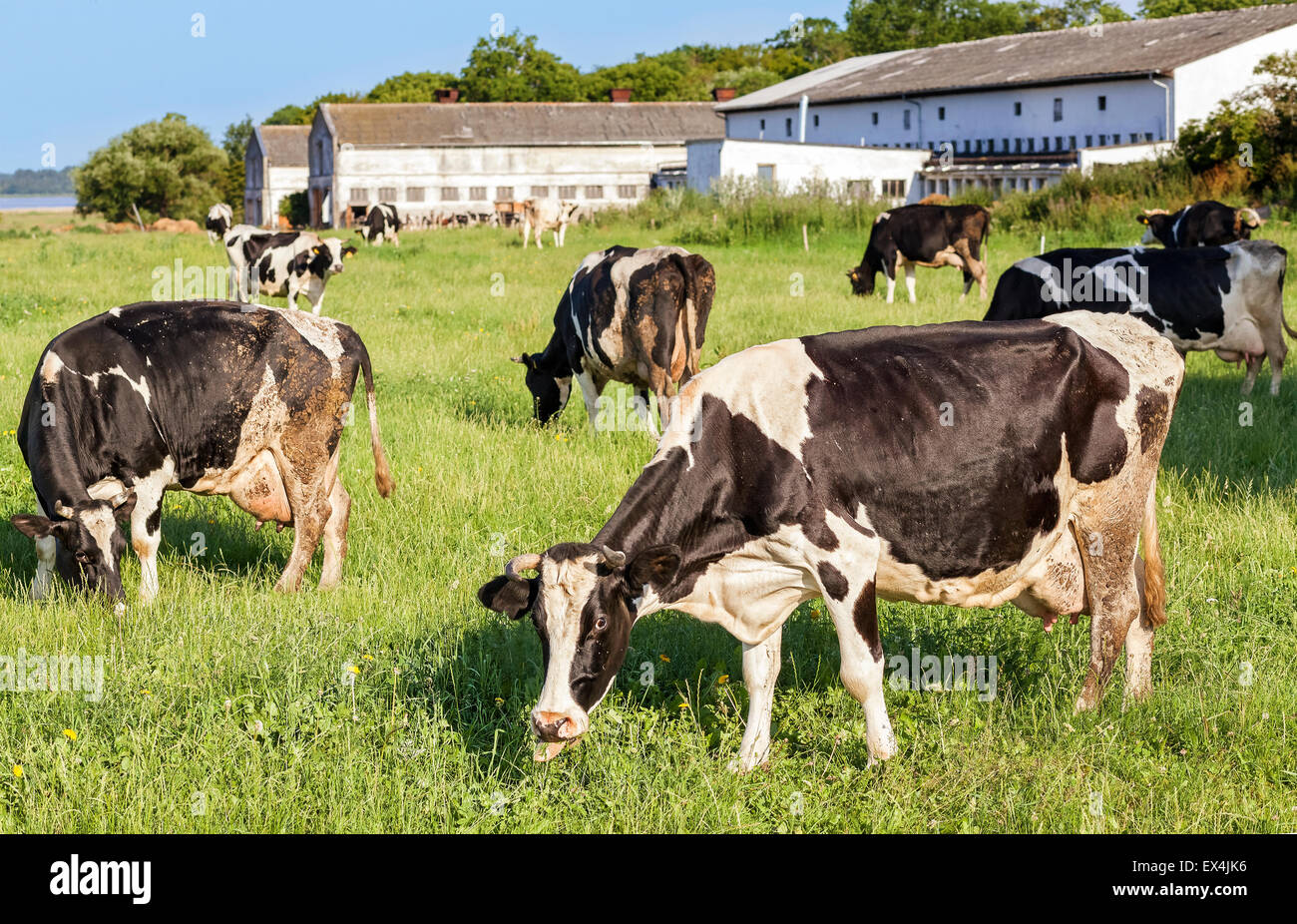 Mud field in poland hi-res stock photography and images - Alamy
