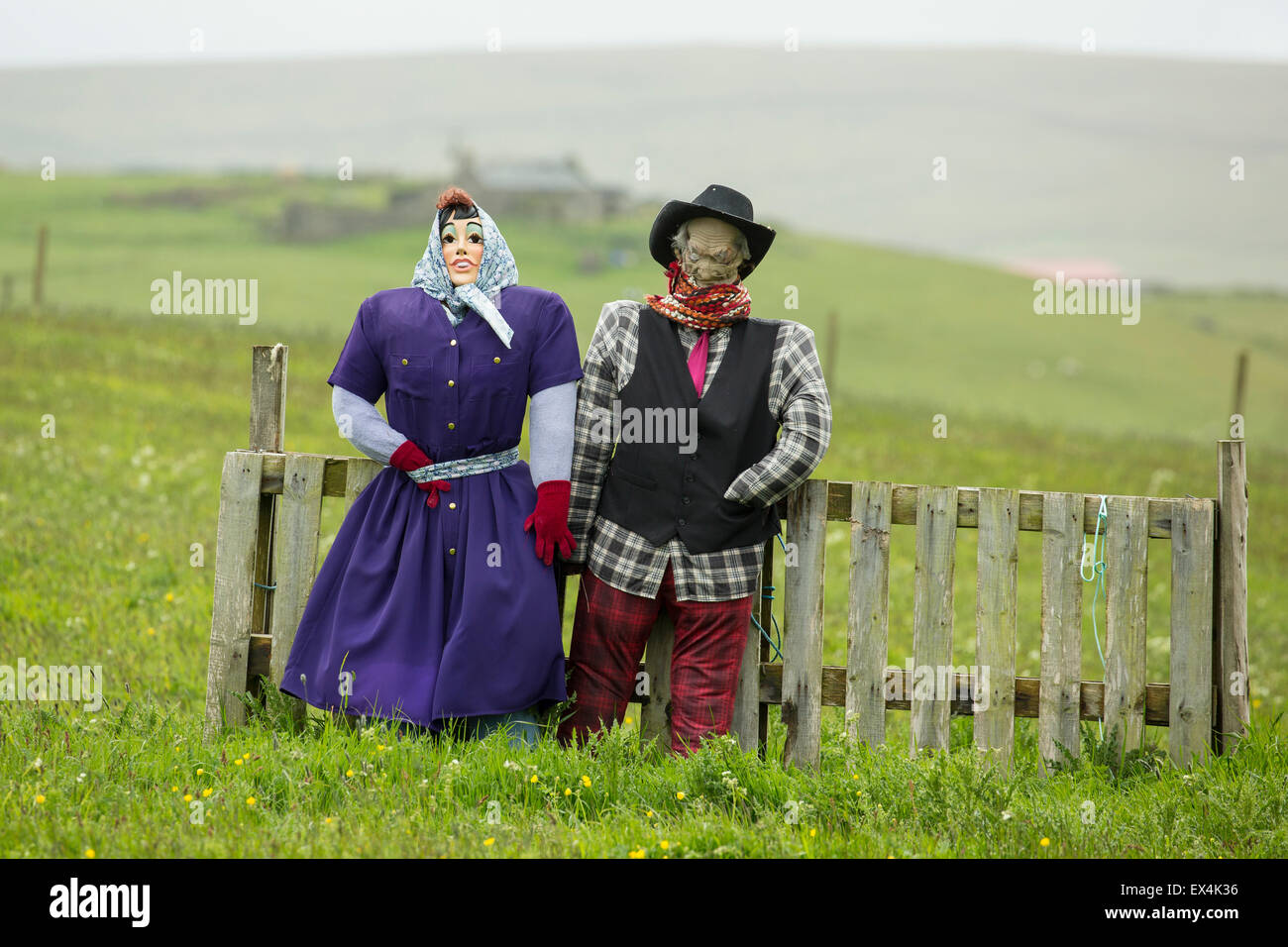 Scarecrows Wedding Stock Photos & Scarecrows Wedding Stock Images - Alamy