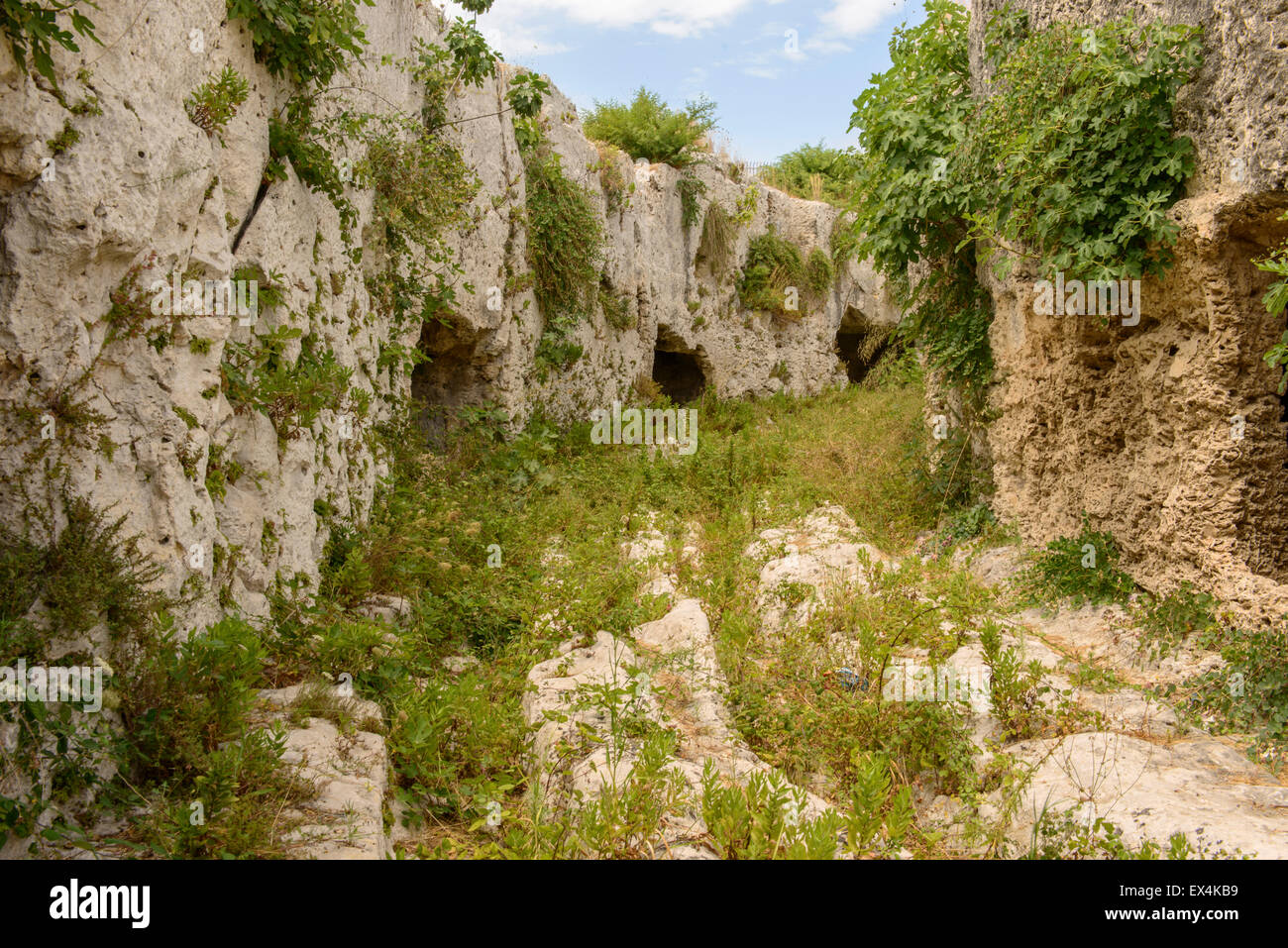Man made caves cut into the rocks at the archaeological park, Syracuse ...