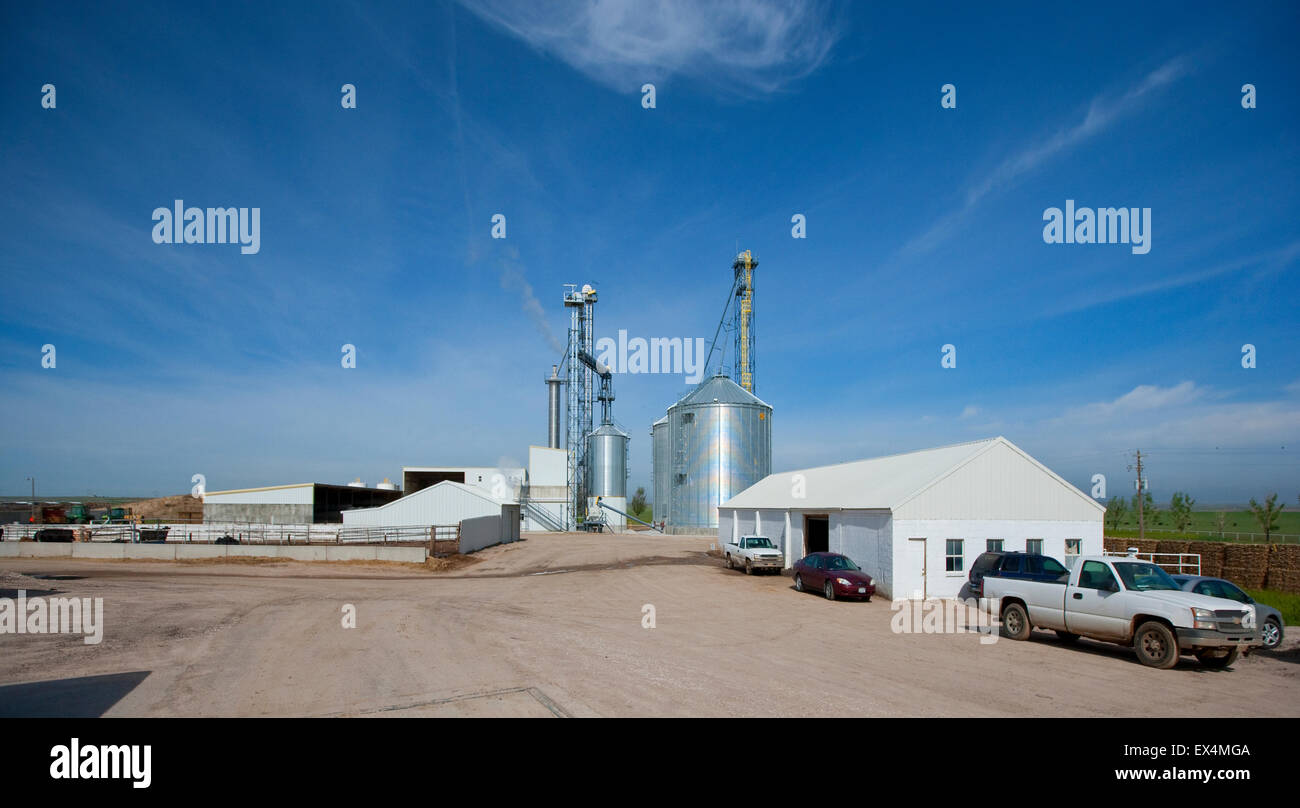 Cattle feedlot colorado hi-res stock photography and images - Alamy