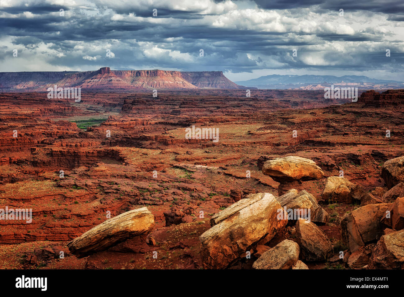 Evening light on the sandstone mesas and plateaus of Lathrop Canyon in ...