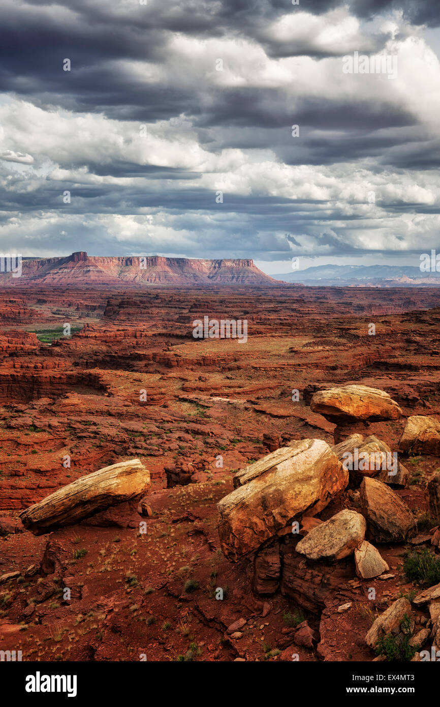 Evening light on the sandstone mesas and plateaus of Lathrop Canyon in ...