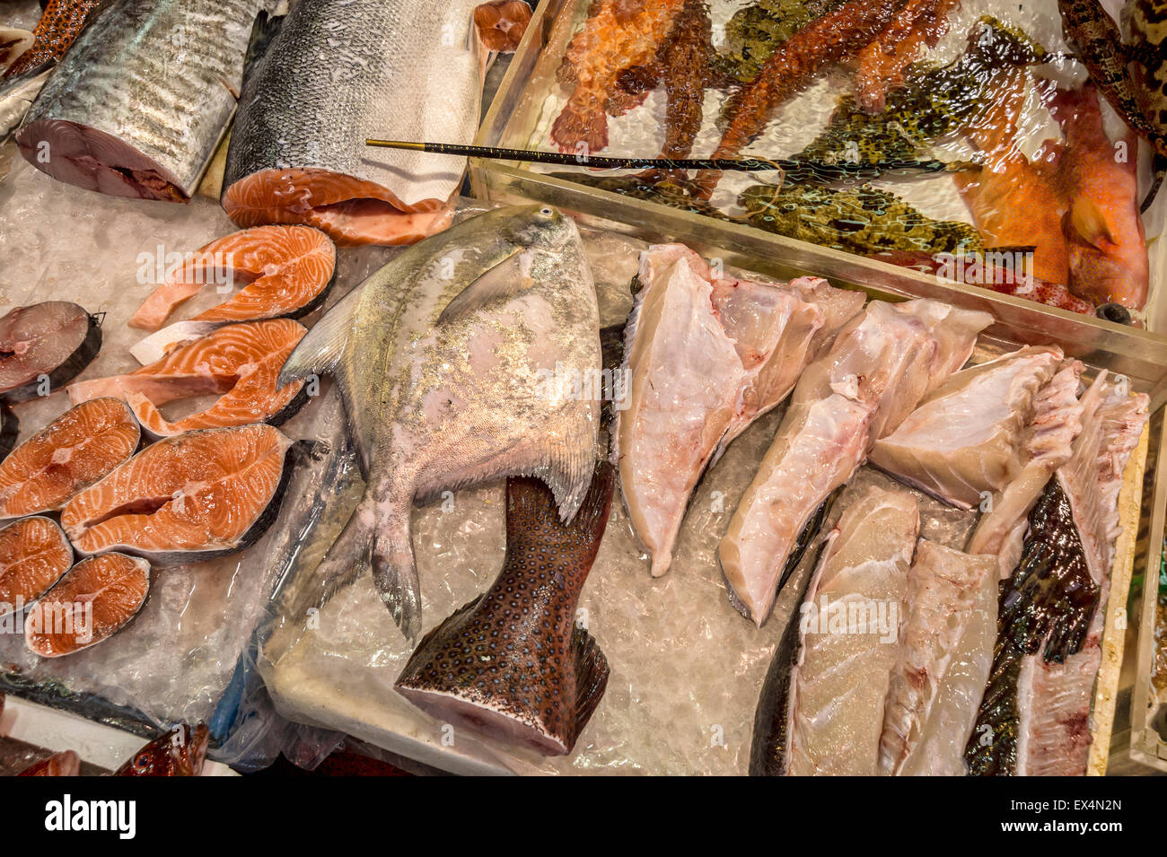 Fish market in China Hong Kong Stock Photo - Alamy