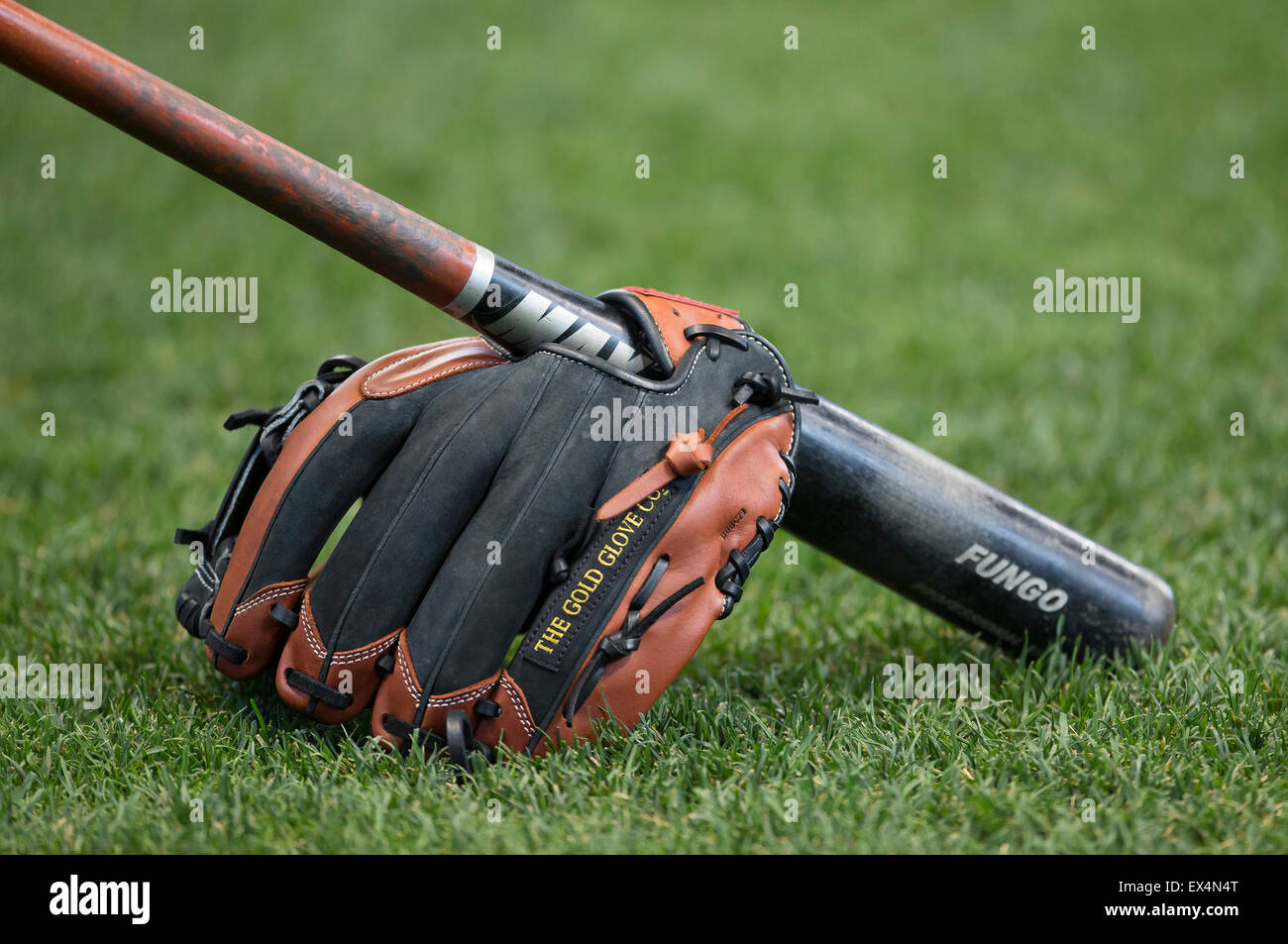 Milwaukee, WI, USA. 7th July, 2015. A Fungo bat and glove lie on the ...