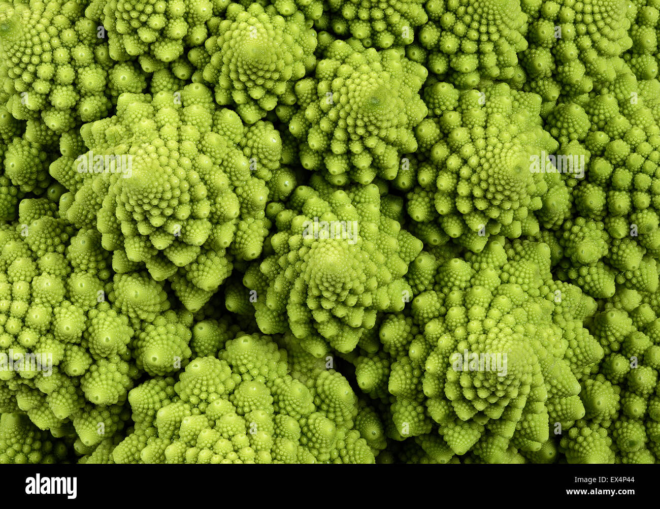 Romanesco cauliflower background Stock Photo - Alamy