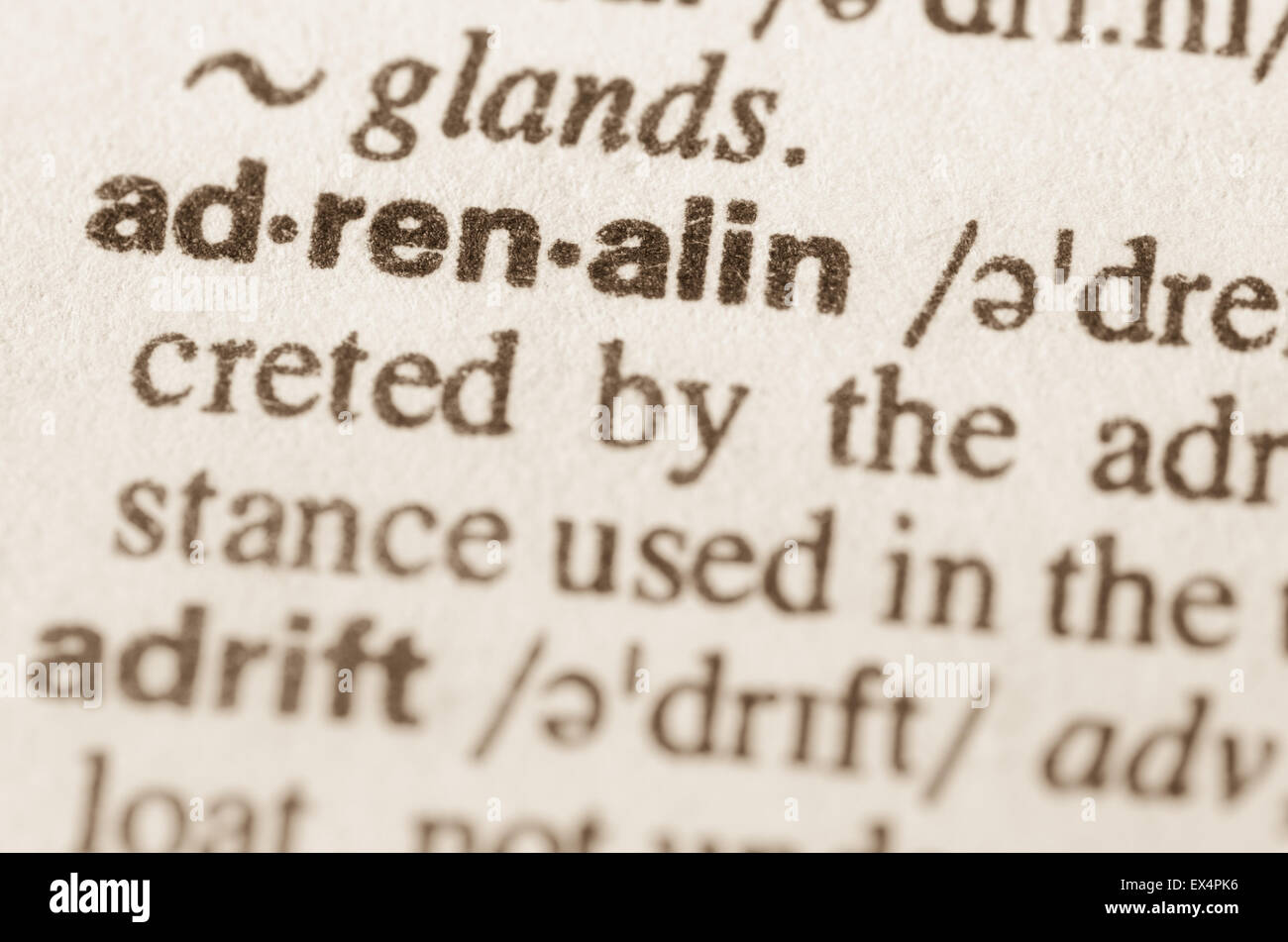 Definition of word adrenaline in dictionary Stock Photo - Alamy