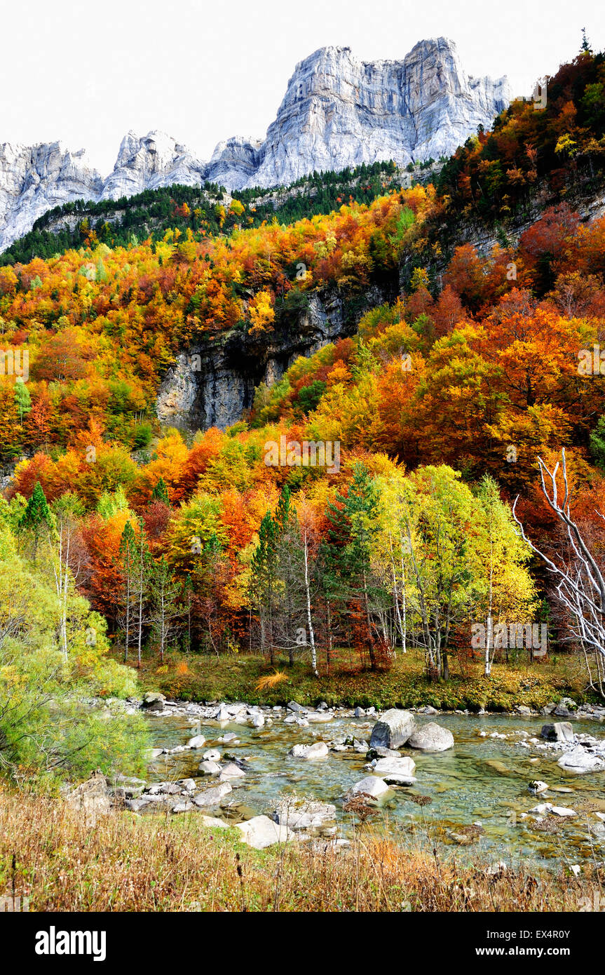 Autumn colors in Ordesa Valley. Pyrenees, Aragón, Huesca, Spain Stock ...