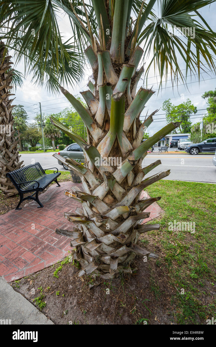Small pocket park in hi-res stock photography and images - Alamy