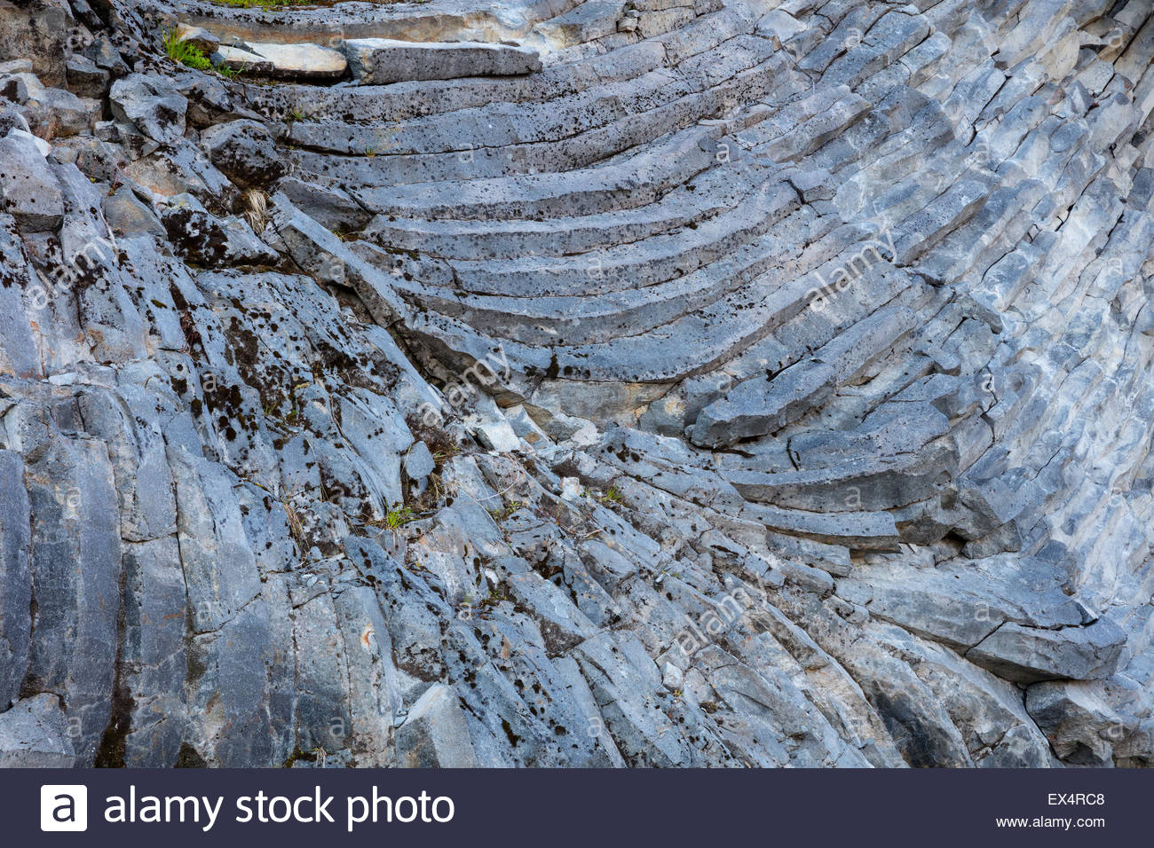 Curved Column High Resolution Stock Photography and Images - Alamy