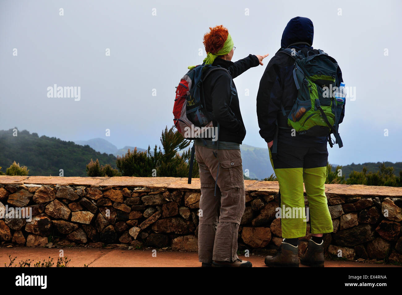 Garajonay National Park. La Gomera Island, Canary Islands, Spain Stock ...