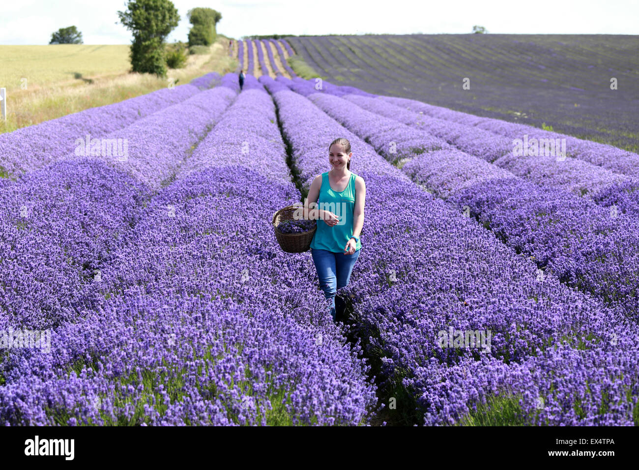 Hitchin, Hertfordshire, UK. 06th July, 2015. Andrea Weir walks through ...