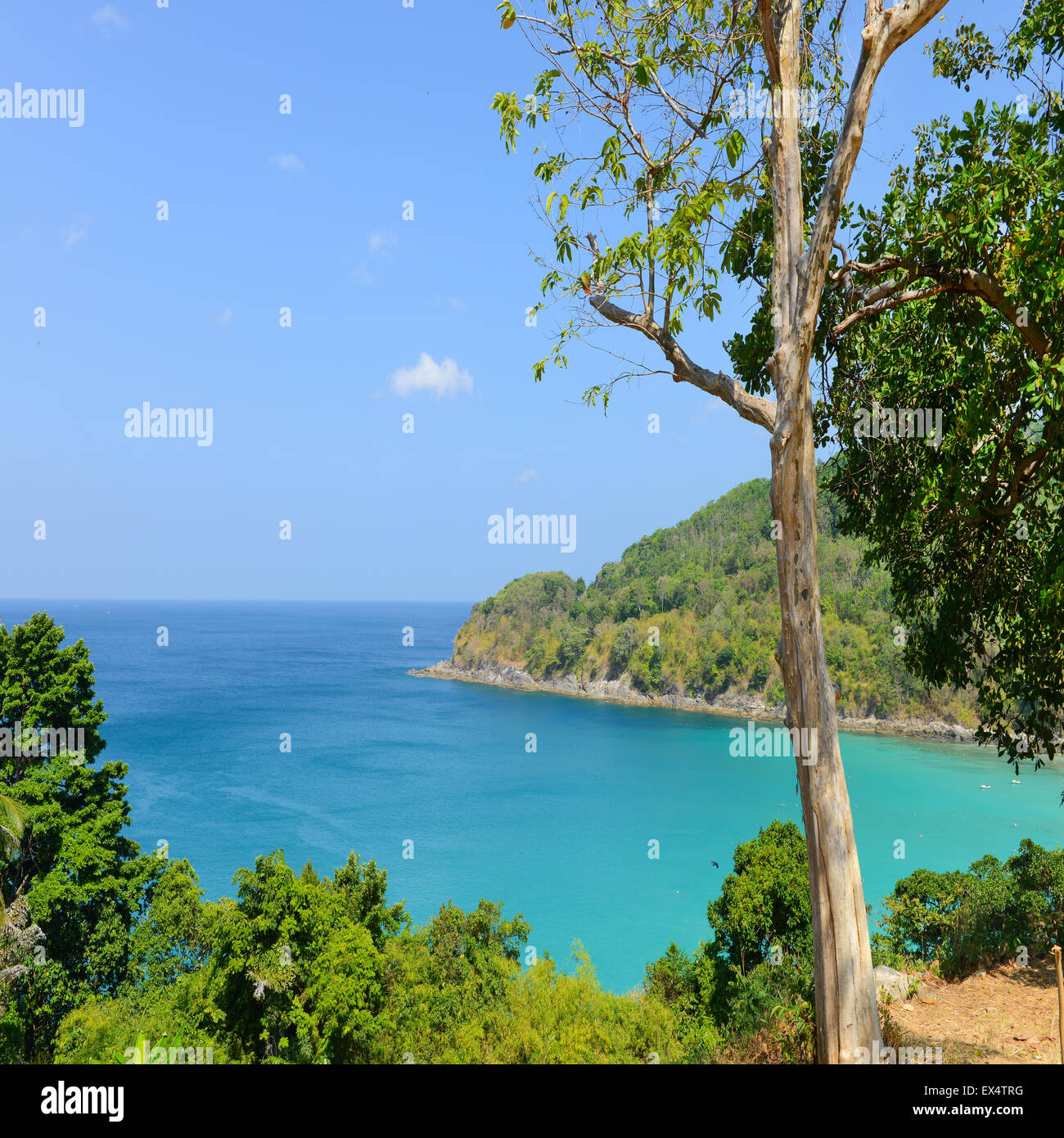 Nature scene tropical beach and blue sky in Phuket island, Thailand ...