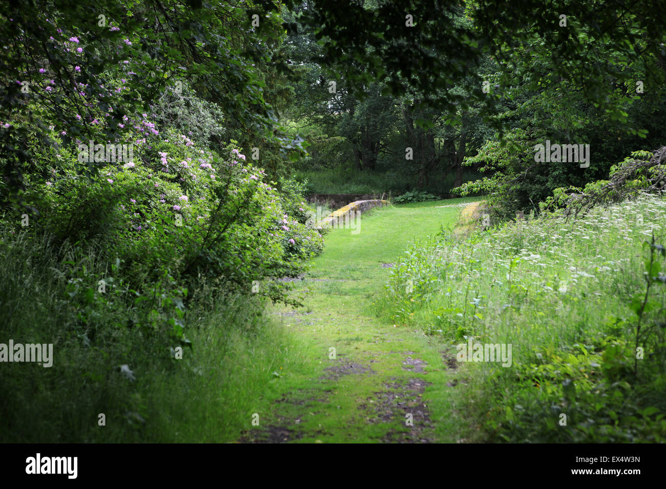 Old bridge covered with grass -Scone Palace grounds - Perth - Scotland ...