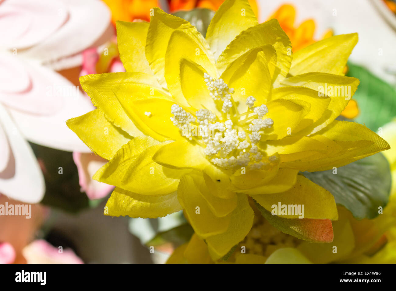 fake laminated paper flowers in a cemetery Stock Photo - Alamy