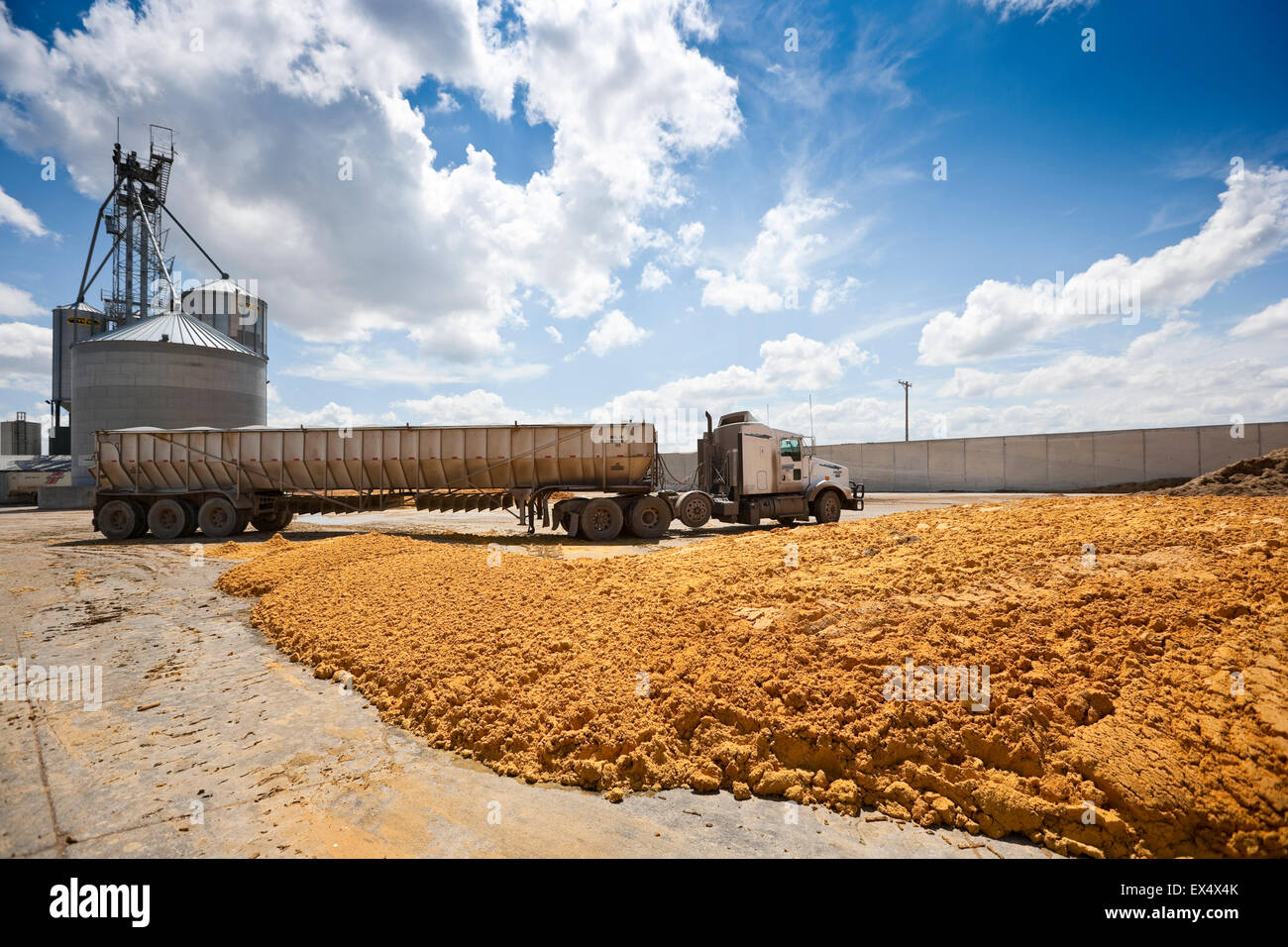 Beef Feedyard near North Platt, Nebraska, USA Stock Photo - Alamy