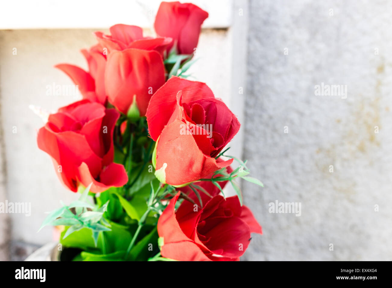 fake laminated paper flowers in a cemetery Stock Photo - Alamy