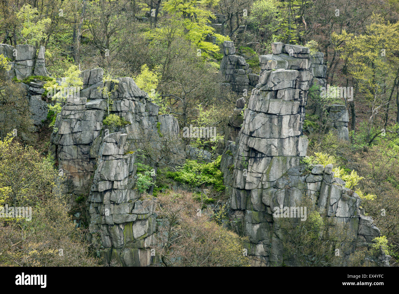 View from the Hexentanzplatz plateau onto pinnacles and forest in the ...