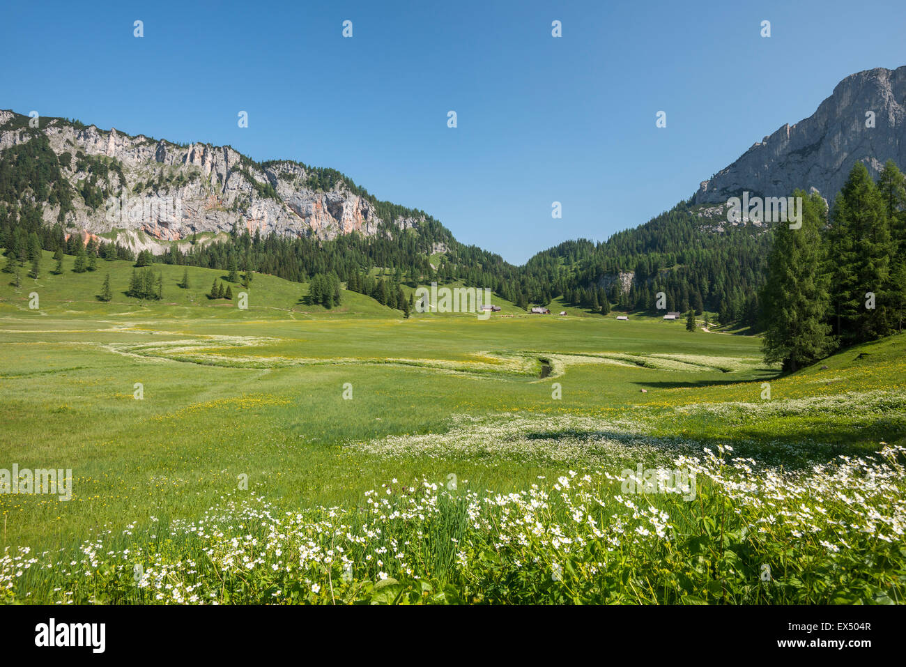 Wurzeralm, Pyhrn-Priel or Pyhrn-Eisenwurzen, Traunviertel, Upper ...
