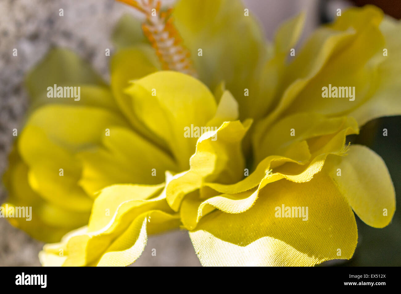 Fake flowers hi-res stock photography and images - Alamy