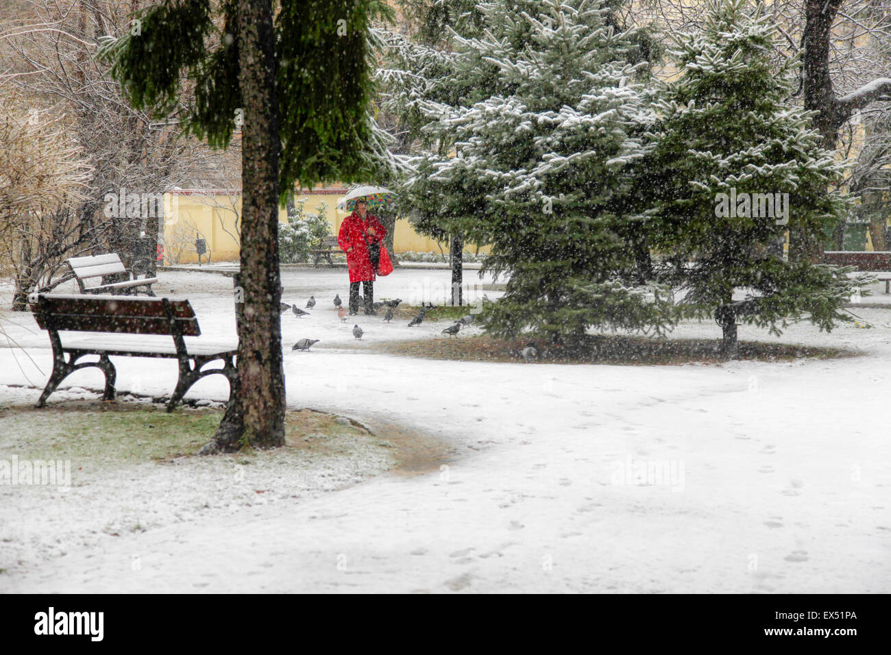 Park During Heavy Snowfall In Winter In Bucharest, Romania Stock Photo ...