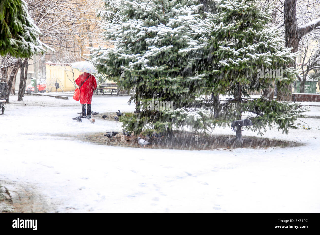 Park During Heavy Snowfall In Winter In Bucharest, Romania Stock Photo ...