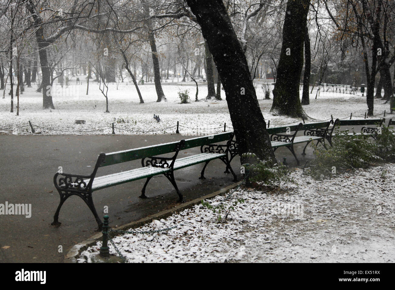 Park Benches During Heavy Snowfall In Winter In Bucharest, Romania ...