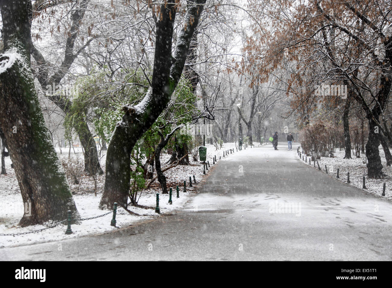 Park During Heavy Snowfall In Winter In Bucharest, Romania Stock Photo ...