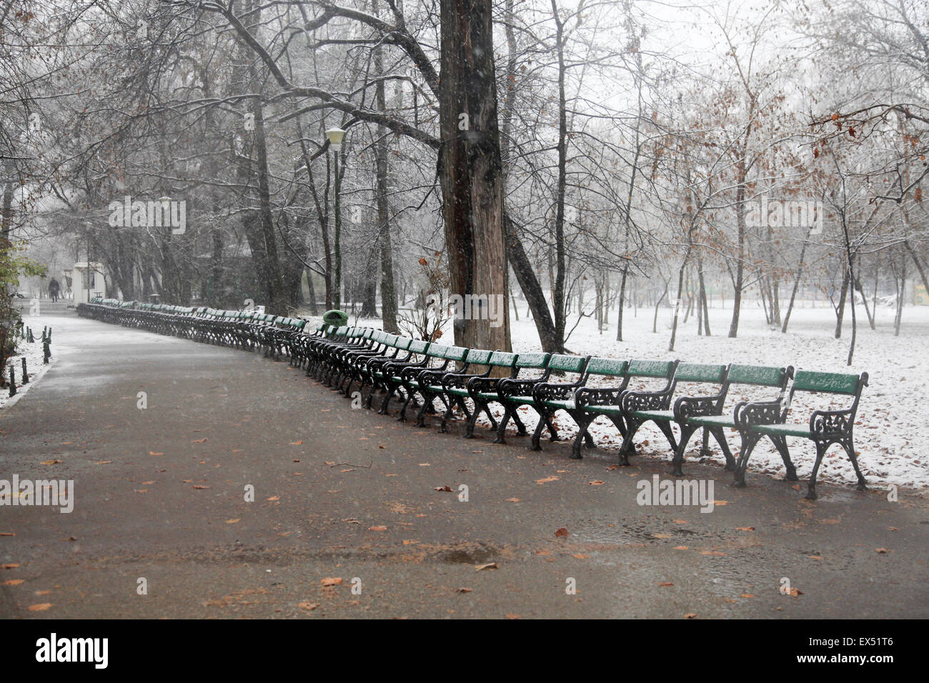 Park During Heavy Snowfall In Winter In Bucharest, Romania Stock Photo ...