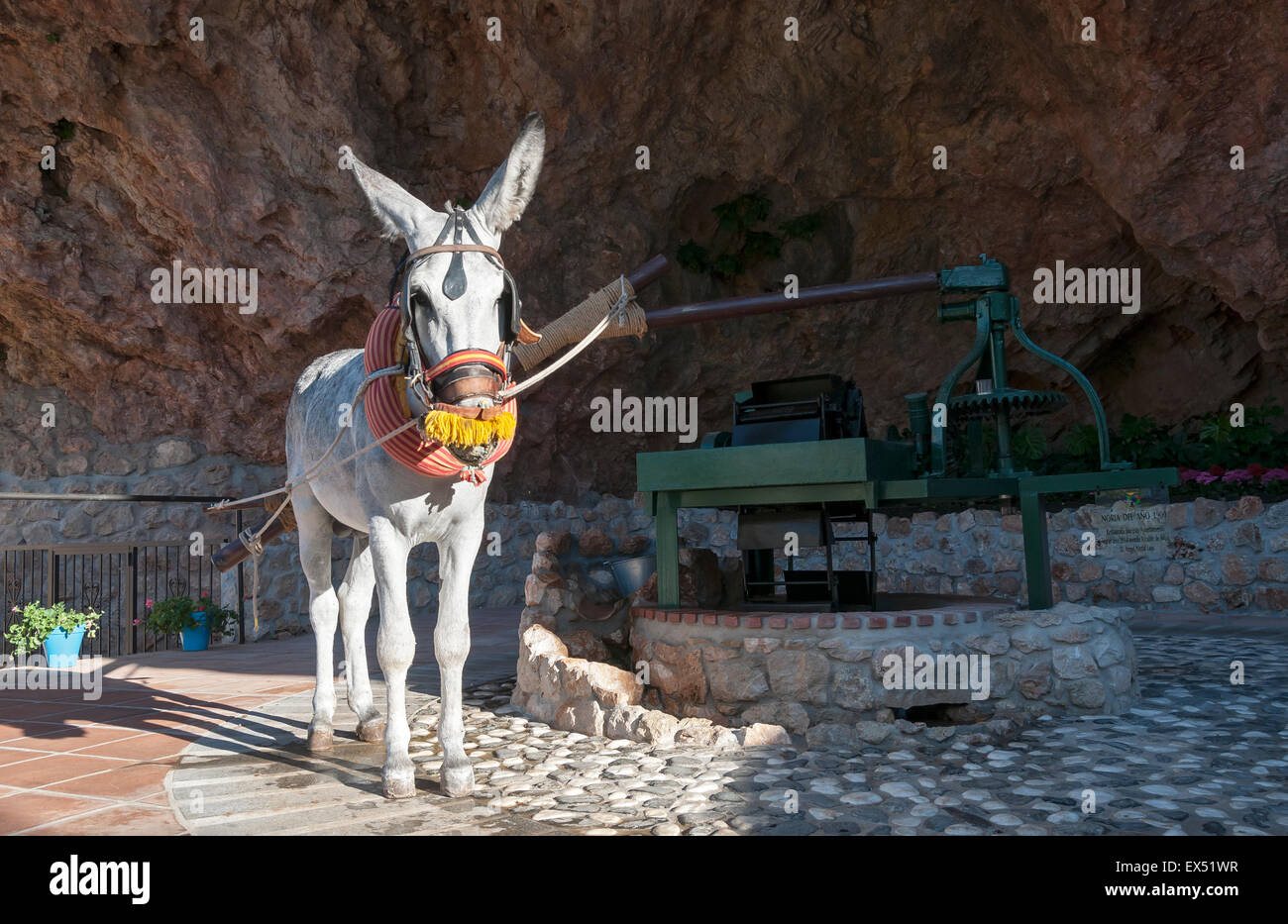 Mule driven mill hi-res stock photography and images - Alamy