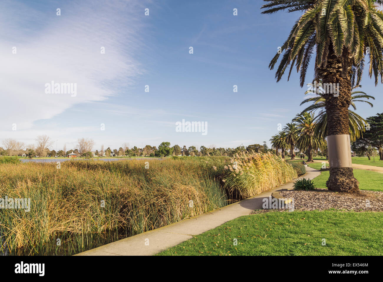 Albert Park Lake, Melbourne, Victoria, Australia Stock Photo - Alamy