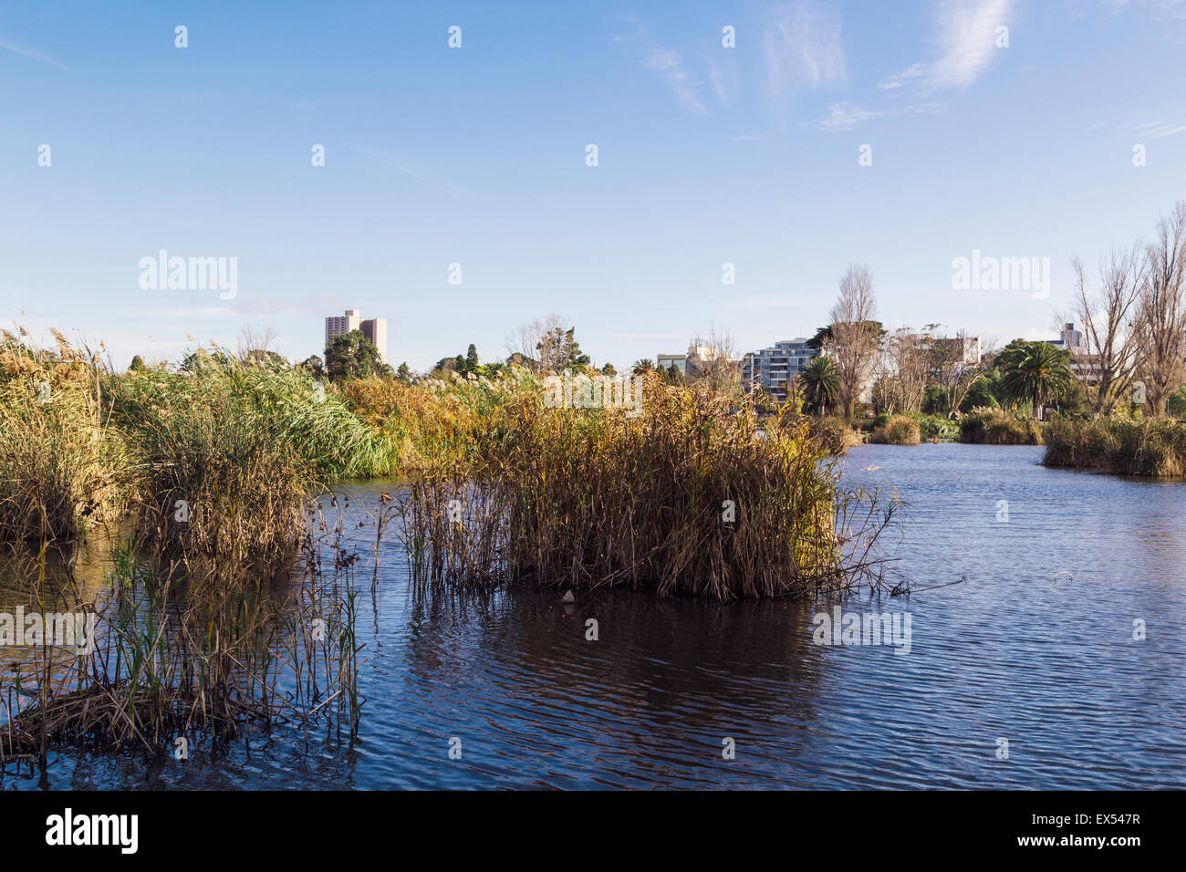 Albert Park Lake, Melbourne, Victoria, Australia Stock Photo - Alamy